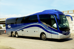 Autobuses TAP | Horarios, boletos y más | infodebuses.com.mx