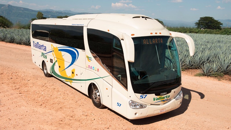 Vallarta Plus | Horarios, boletos, contacto y más | infodebuses.com.mx